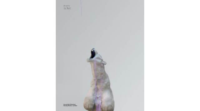 Anohni - My truth: James Elaine. Peter Hujar. Kazuo Ohno - GGG ...